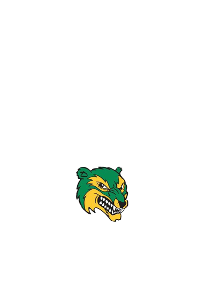 Evergreen High School Wolverines Football Association